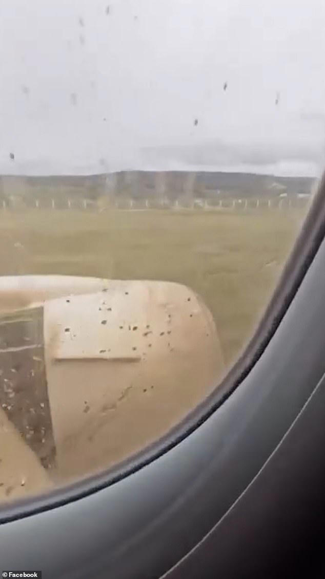 Moment terrified passengers scream as jet veers off runway in aborted ...