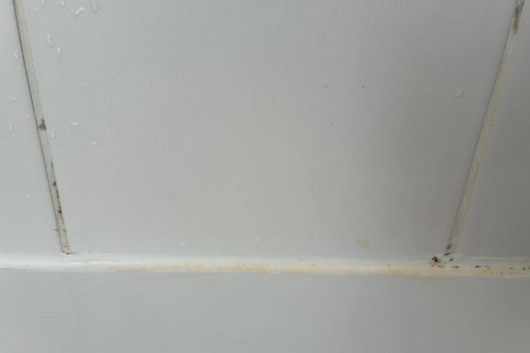 Remove bathroom mould using £1.99 Home Bargains spray — no scrubbing