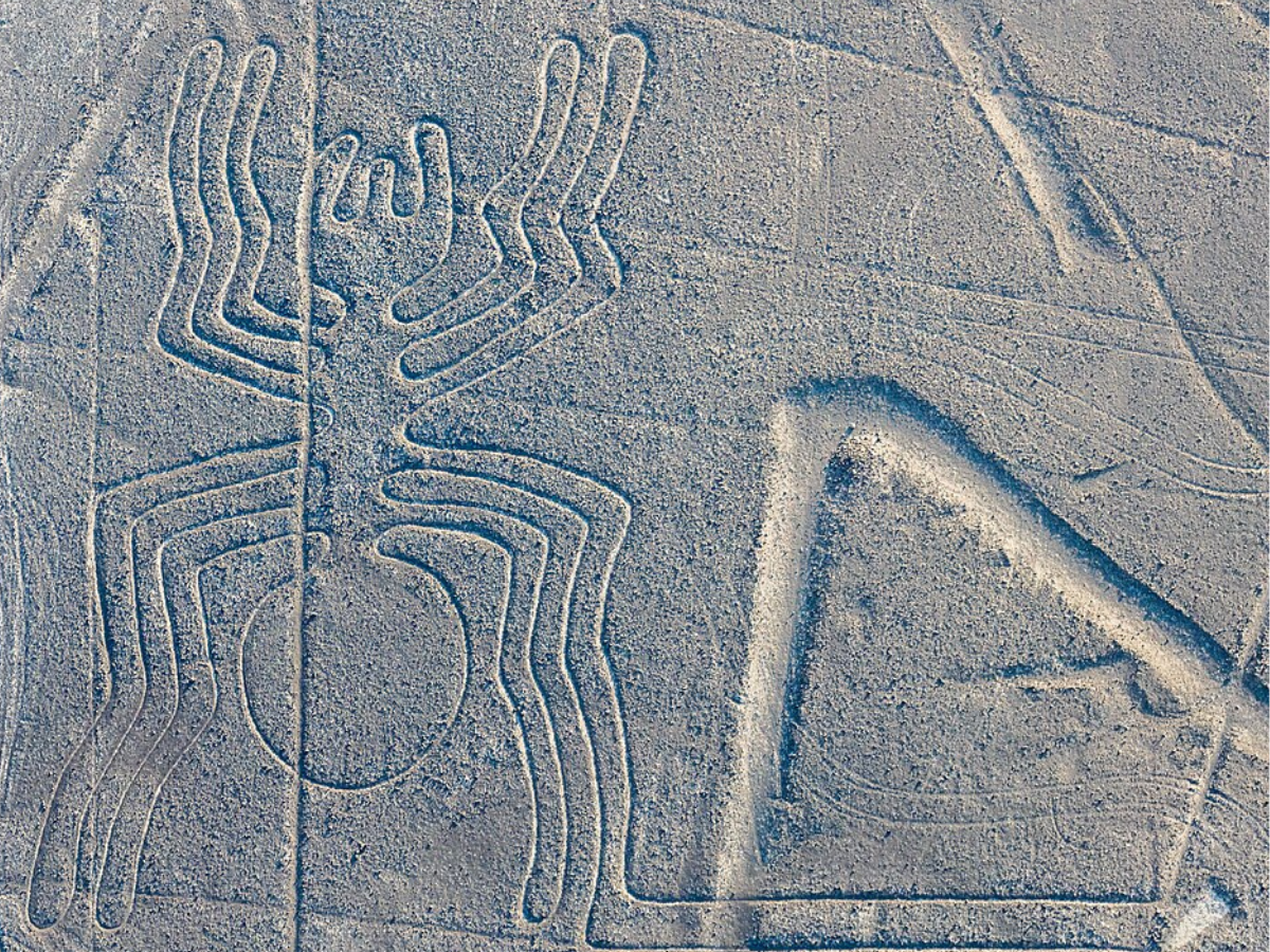 The Nazca Lines mystery: Why scientists say we've been looking at them ...
