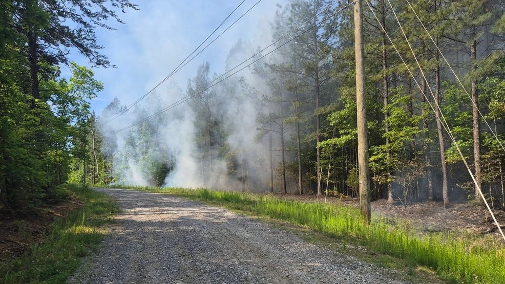 Brush fire started by power line connected to solar farm: Appomattox ...