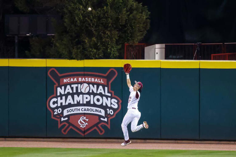 South Carolina baseball needs a new coach. Is Gamecocks' gig still a ...