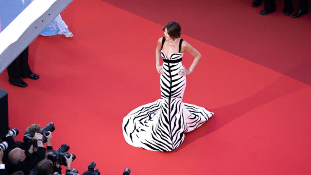 Carla Bruni verzaubert Cannes im Zebra-Look