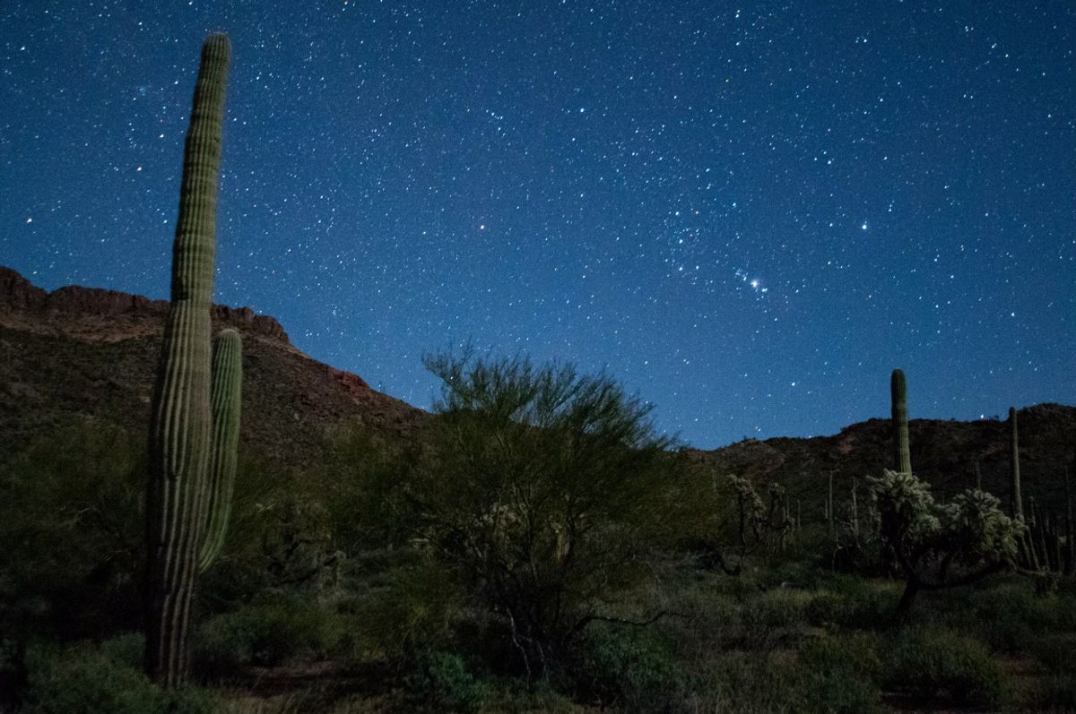 Organ Pipe Cactus National Monument, home of giant desert plants and ...
