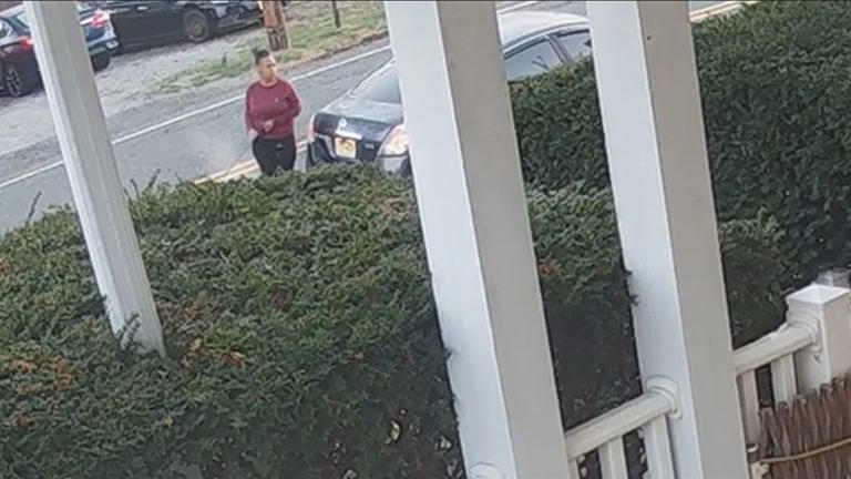 Dog found abandoned on side of the road in New Jersey, police seek answers