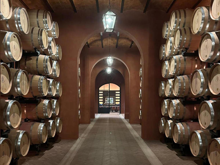 Folonari, nuova cantina del Cabreo, investimento da 7 milioni a Greve ...