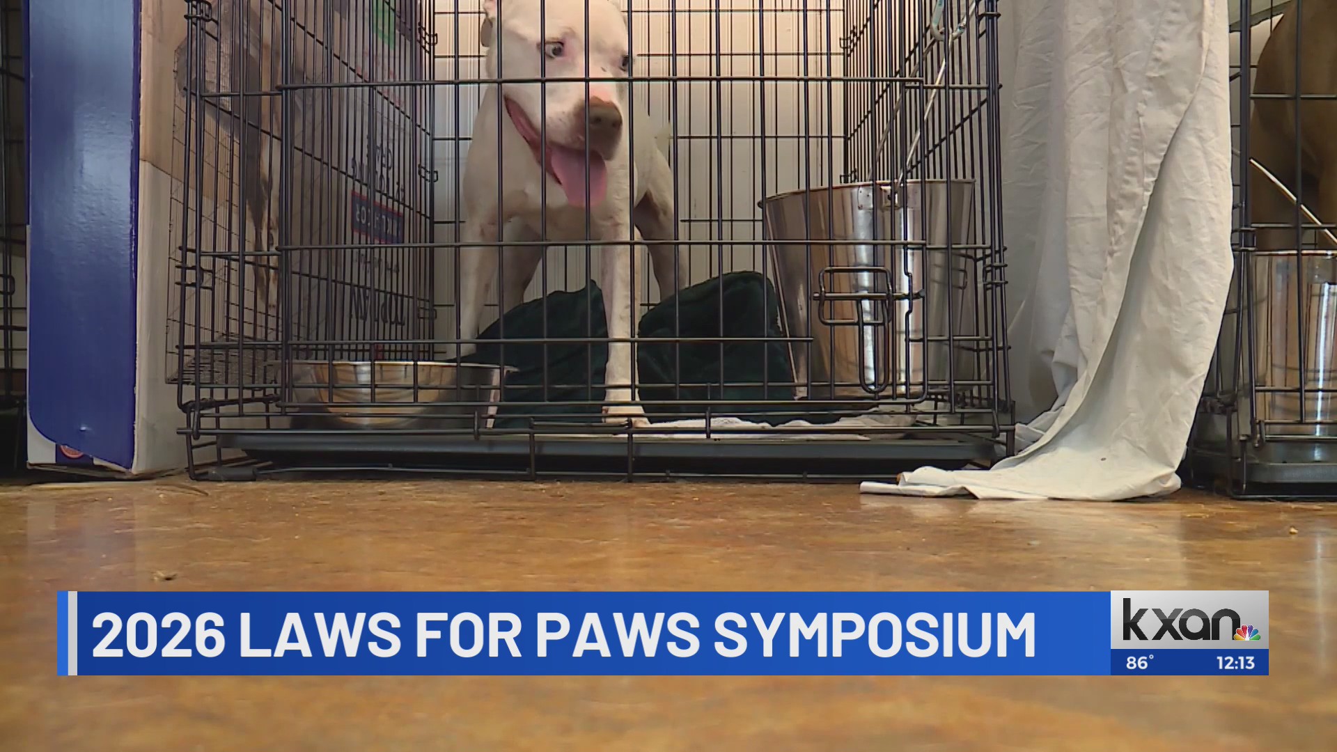 2026 Laws for Paws Symposium