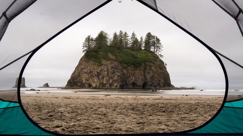 Oregon's 5 best coastal camping spots with easy beach access