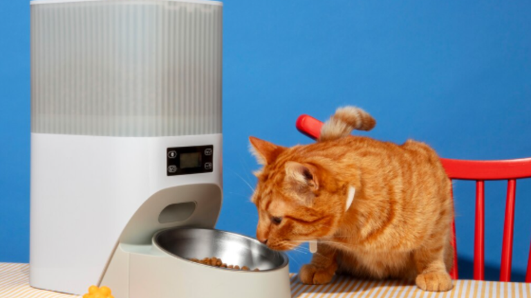 5 smart devices to track, feed & protect your pets easily
