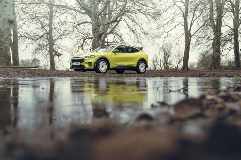 Ford Mustang Mach-E Rally