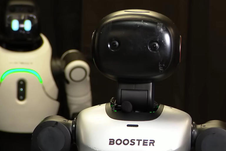 'Human-like' robots are no longer allowed on Southwest Airlines flights ...