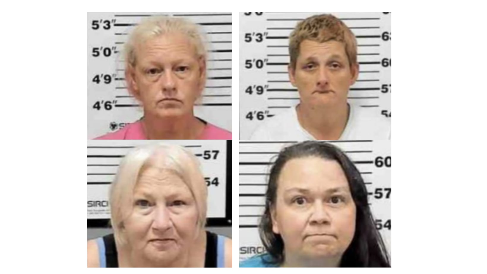 4 women arrested following drug bust at home near churches in Greenville