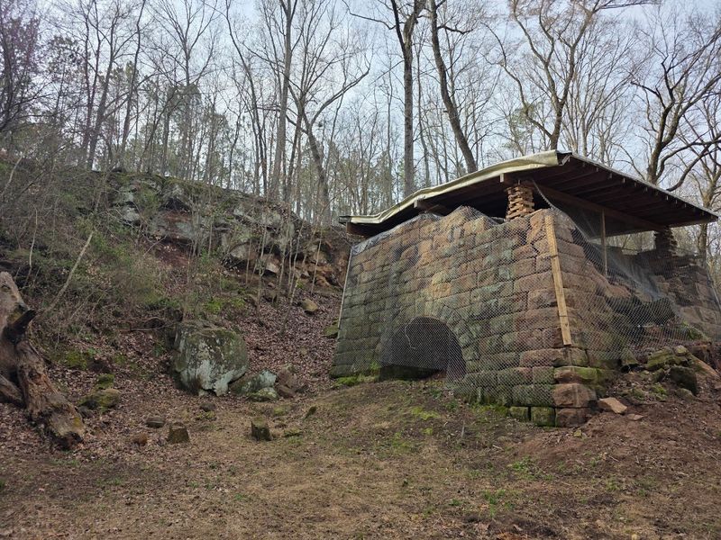 This mysterious North Carolina ruin now rests within overgrown deep forests