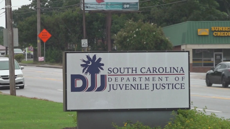 Former SCDJJ employee charged after allegedly providing THC gummies to ...