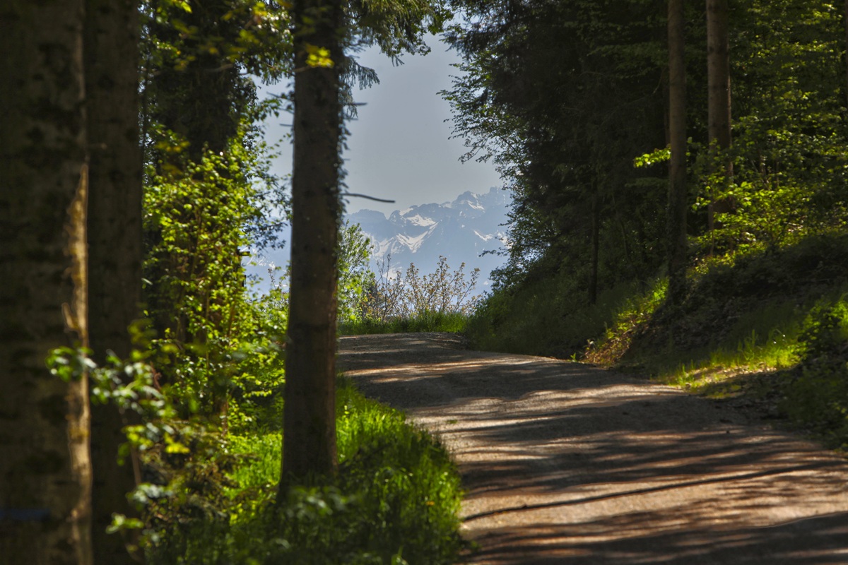 Spurlos verschwunden nach Waldspaziergang: Wo ist Lea (23)?