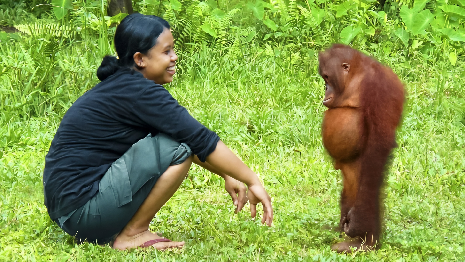 10 accidental animal moments caught on camera