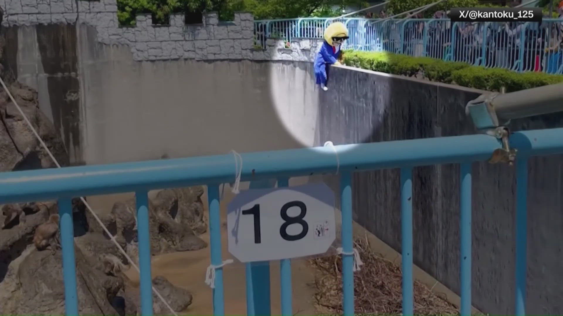2 Americans arrested after man jumps into 'Punch' the monkey's ...