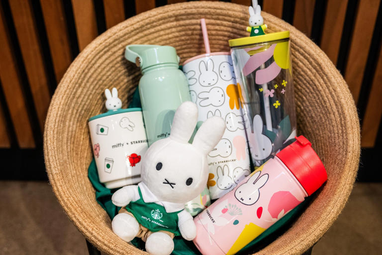 Next Bearista? Starbucks drops Miffy collab based on popular Dutch bunny