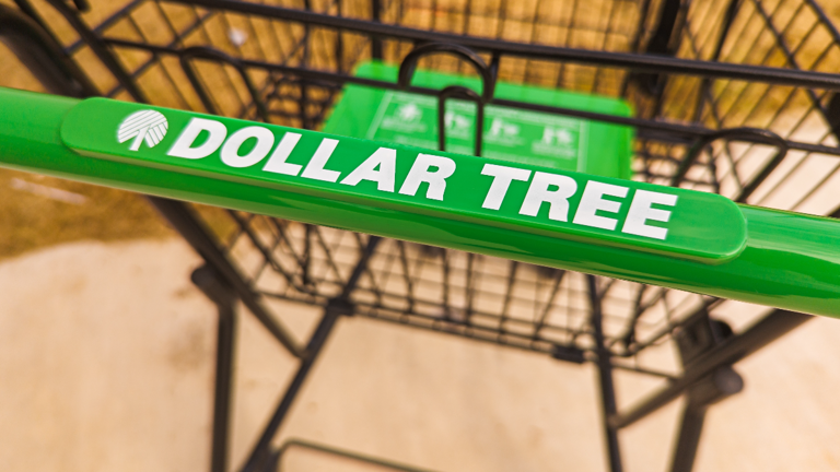 Dollar Tree's $1.50 floral dinner plate rivals a Crate & Barrel design