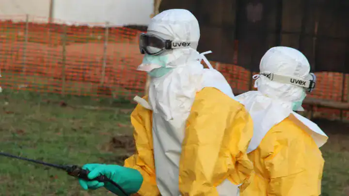 Ebola: entenda a doença classificada como nova emergência global