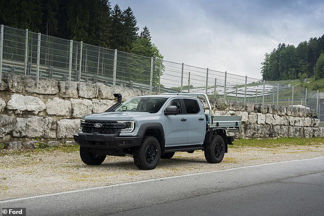 Ford fights back against Chinese car makers with five new 'rally-bred ...
