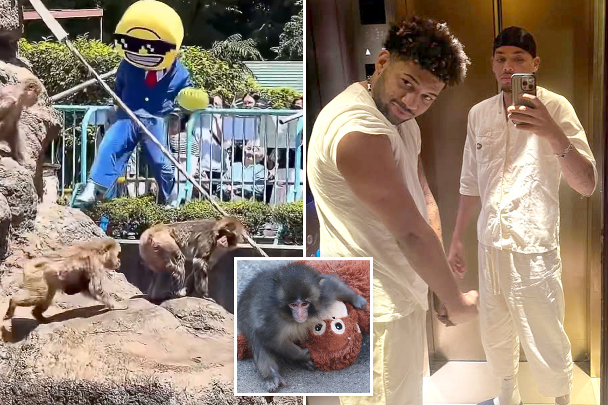 American Tourists Arrested After Breaking Into Punch The Monkey S