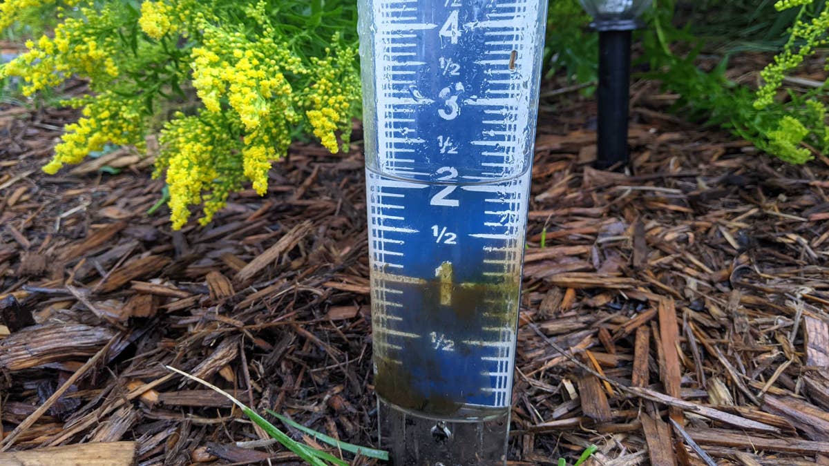 How much rain fell in Minnesota during Sunday night's storms?