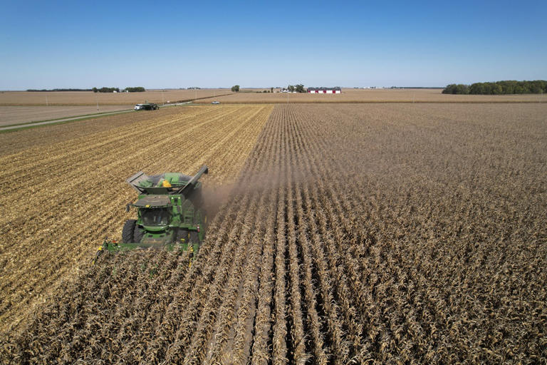My family’s farm and America’s founding promise