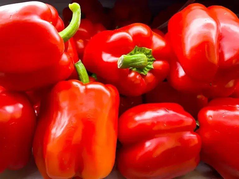 6 anti-aging foods that fight fine lines better than expensive serums
