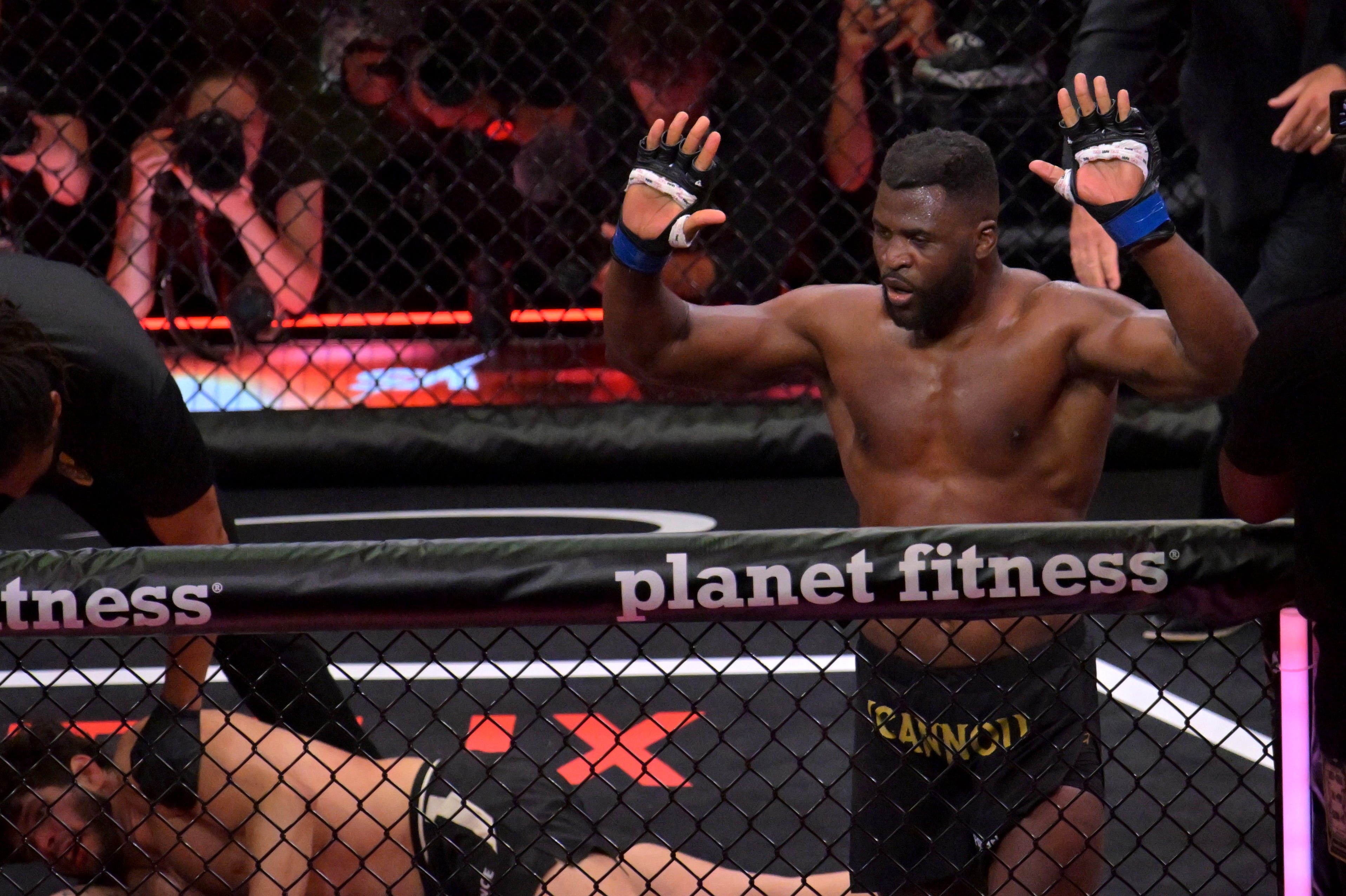 Francis Ngannou entertains idea of fighting heavyweight KO artist next