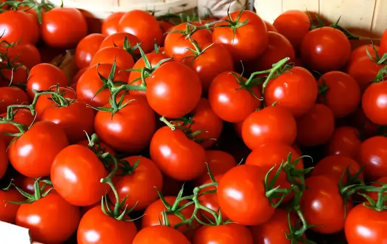 6 anti-aging foods that fight fine lines better than expensive serums
