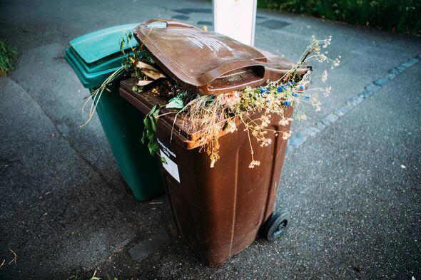 All the garden waste items you can no longer recycle under the new ...