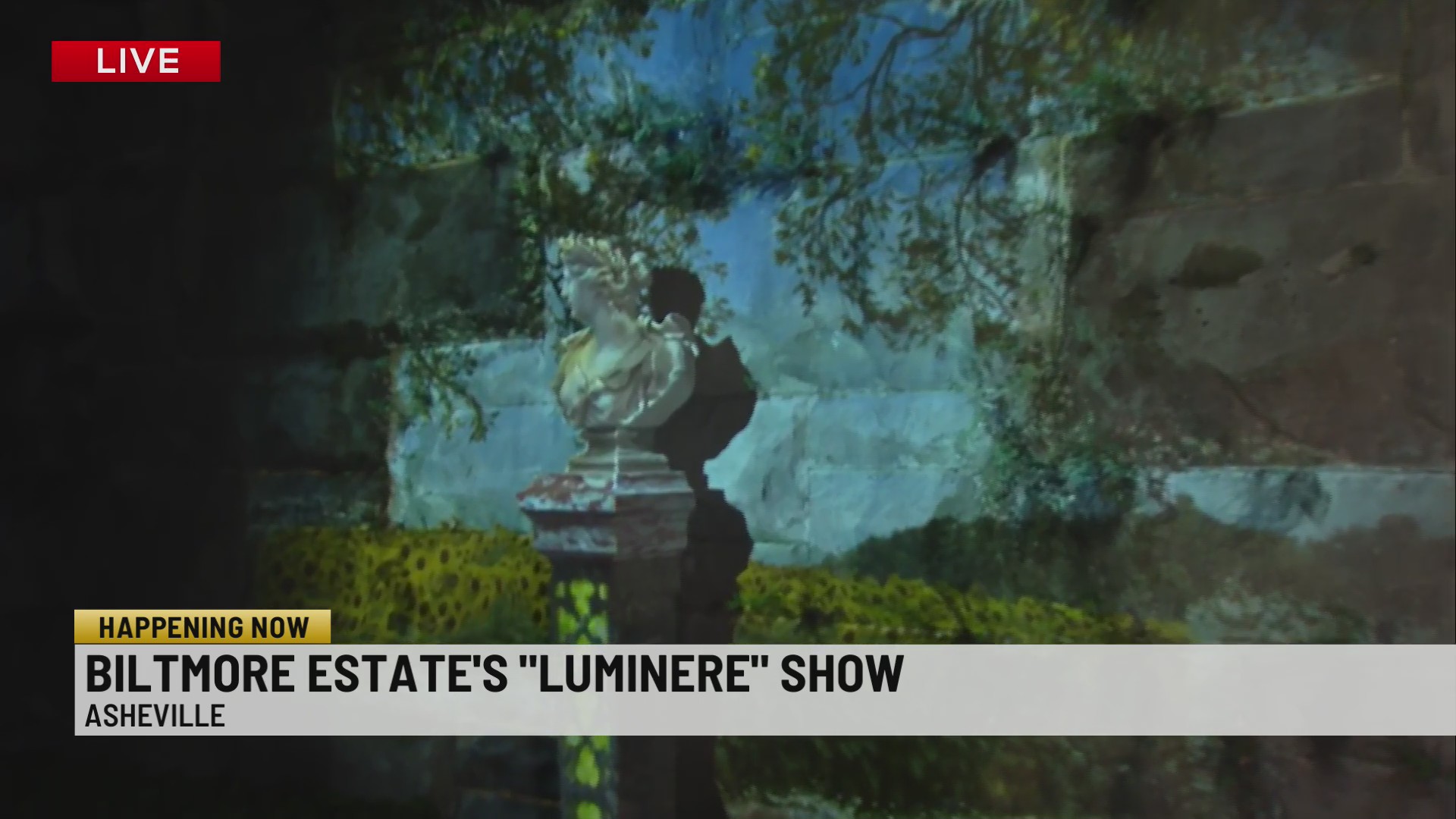 Biltmore Estate offers new nighttime attraction