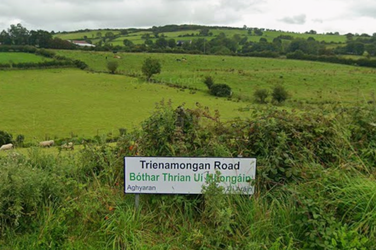 Disappointment and disgust as vandals deface Irish language element of ...