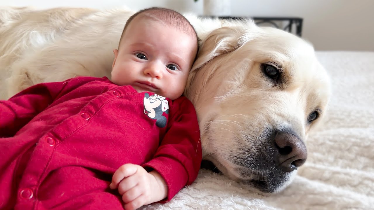 This baby picked the fluffiest bed in the house