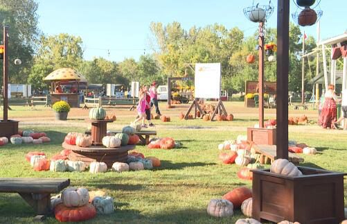 Papa’s Pumpkin Patch 'passing the baton'