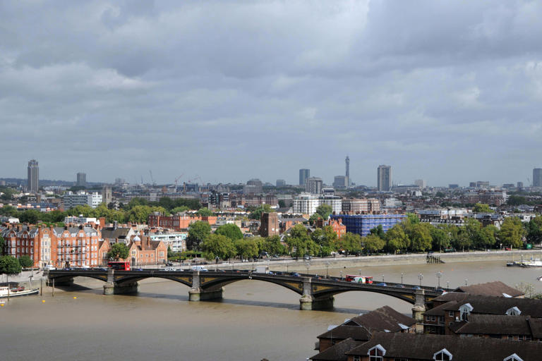 London bus driver fighting for life after assault on Battersea Bridge