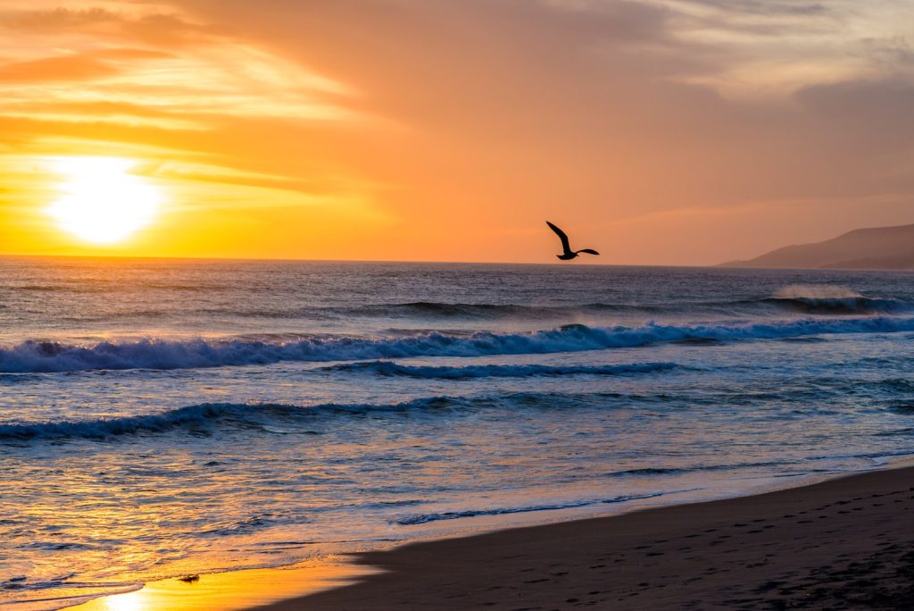 15 beaches in Malibu worth the detour