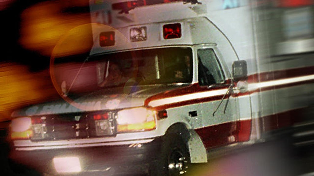 Minnesota motorist shot in the face by "errant round" fired from family ...