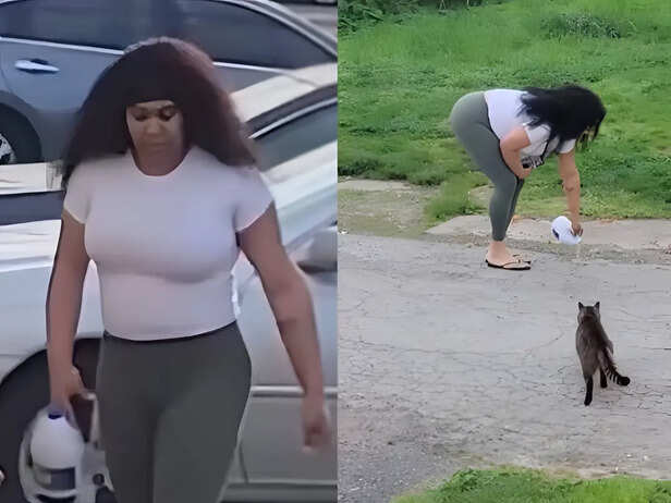 What's the punishment for animal cruelty in PA? Chester woman caught ...