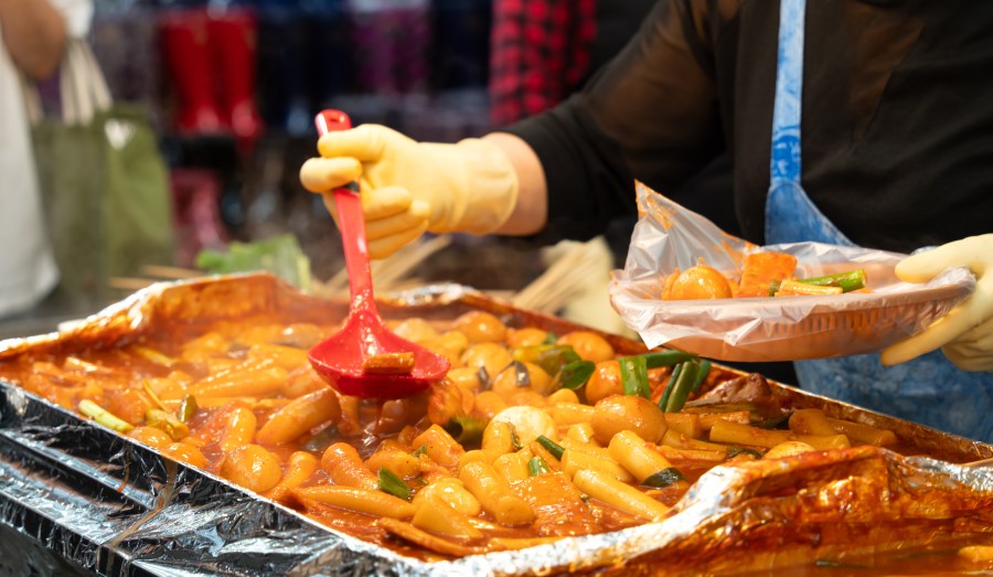 Albany Taste of Korea festival set to return in June