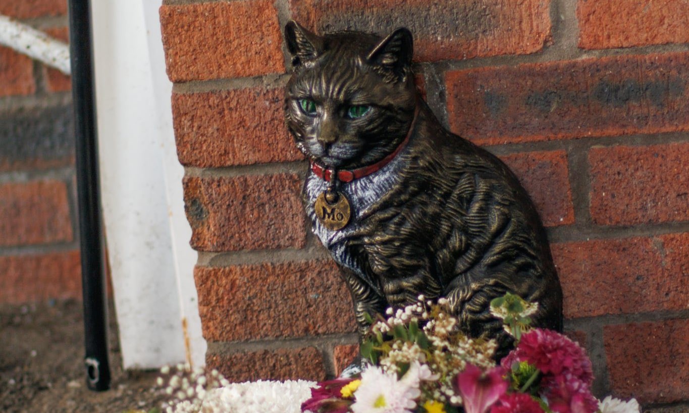 Greyfriars Bobby-like statue of beloved 'Co-op cat' unveiled at ...