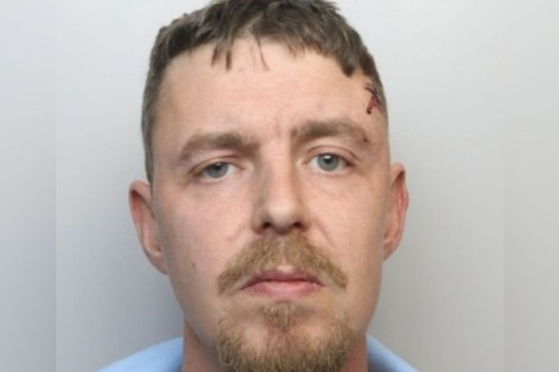 He killed dad's dog with samurai sword on Christmas Day after being ...