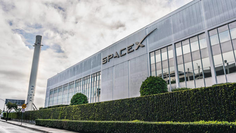 Cathie Wood unveils bold revenue projection for Elon Musk’s SpaceX