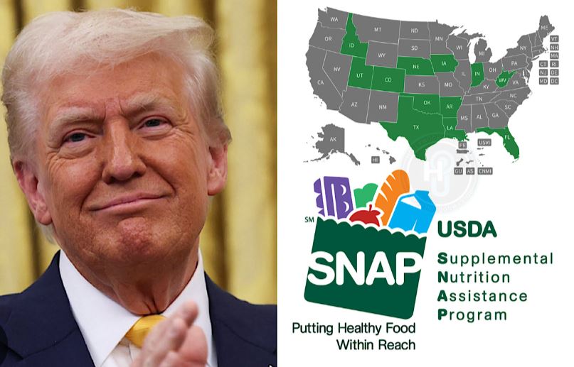 Food stamps and junk food bans in Trump government: What you need to know