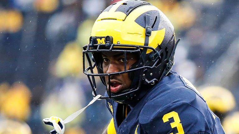 Why Role for Portal Addition Fredrick Moore Crucial for MSU