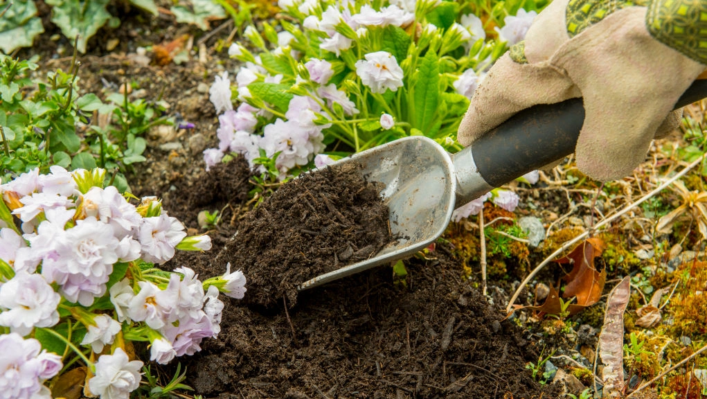 Choosing the perfect soil for your garden