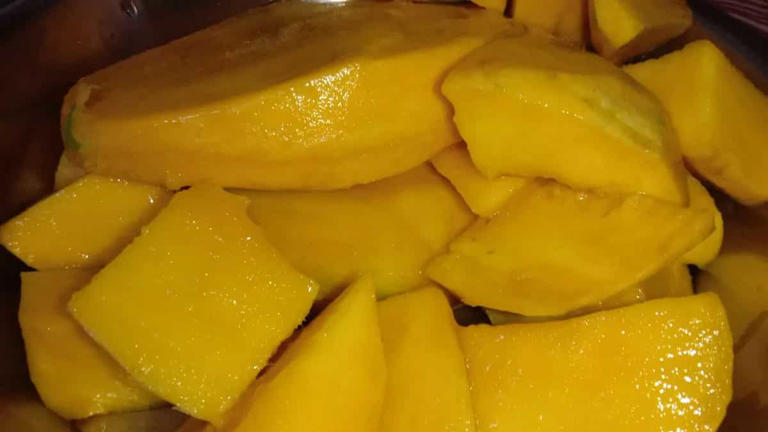 How Himsagar mango became Bengal’s most celebrated summer fruit