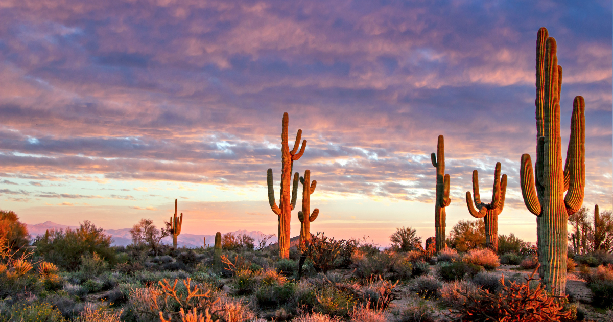 Only people from Arizona truly understand these 15 things