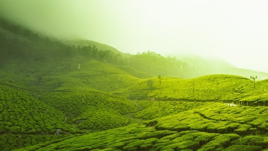 From Ooty to Singapore: 5 cool destinations you can head to this summer ...