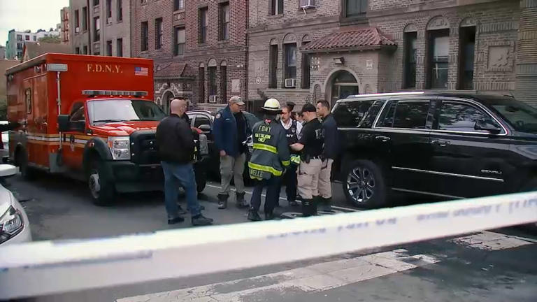 Twins die days after Bronx apartment fire that also killed their ...